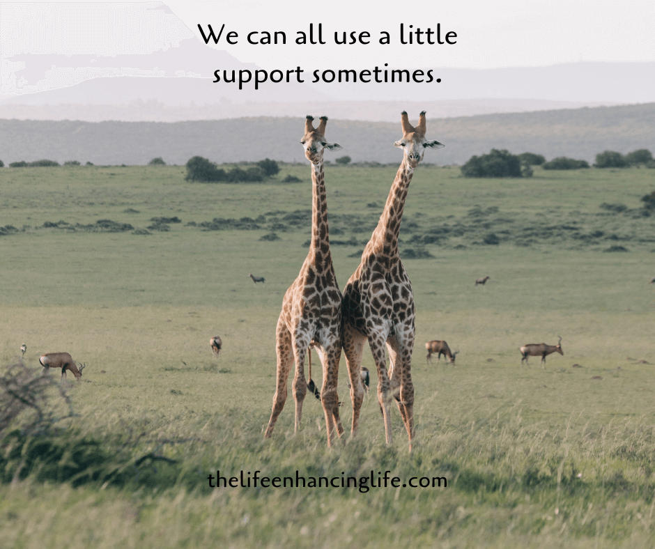 Support One Another • The Life Enhancing Life